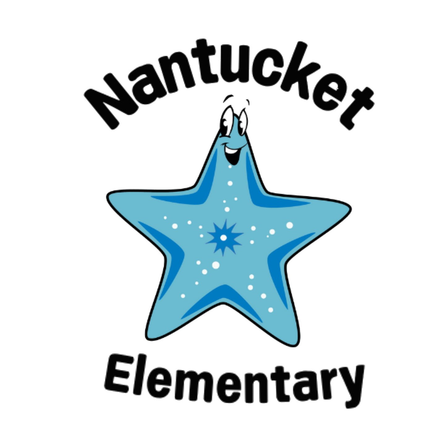 Nantucket Elementary – MBICustom